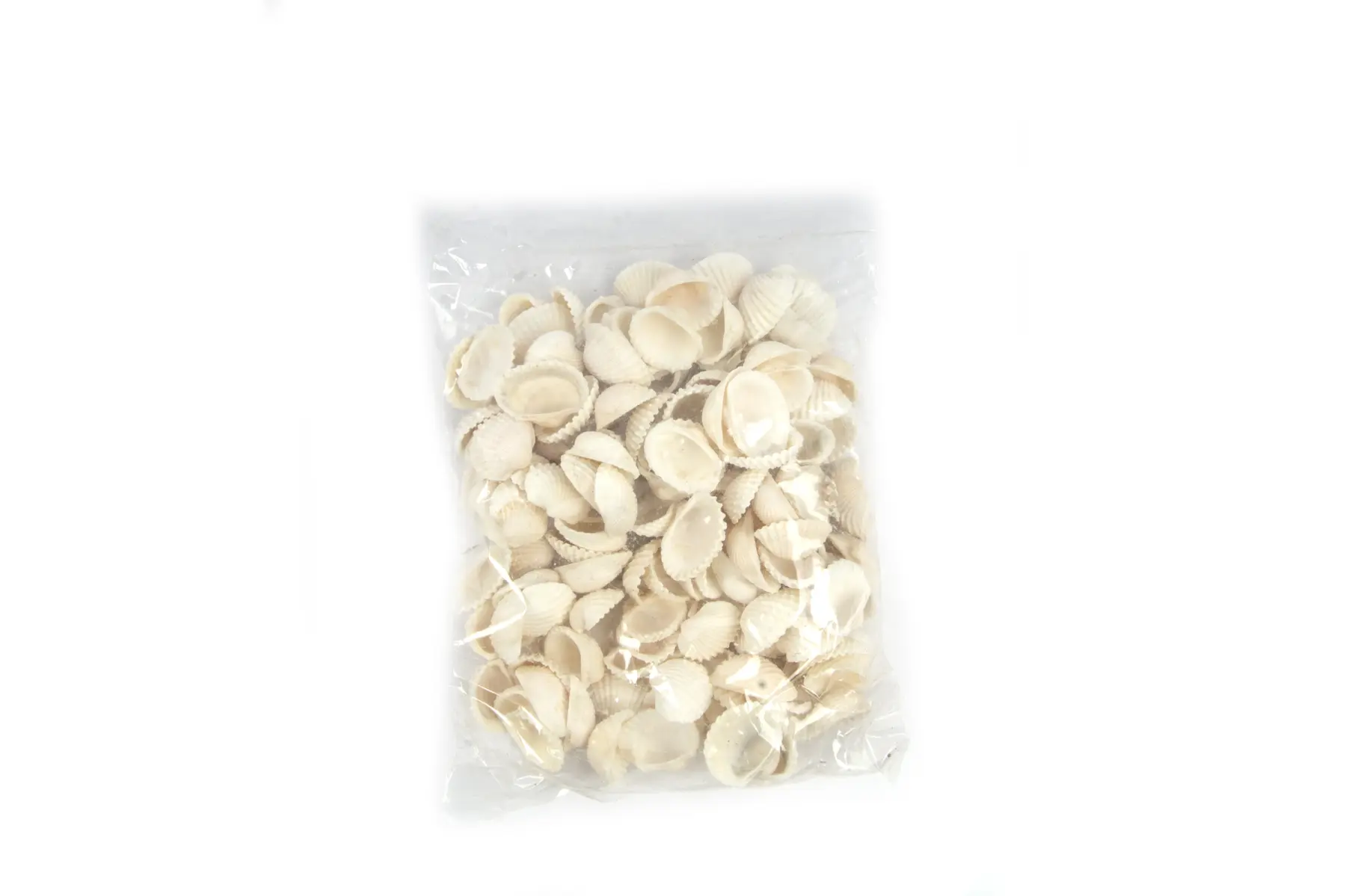 Shells nam du 3,5-4,5 cm natural - Lino's webshop